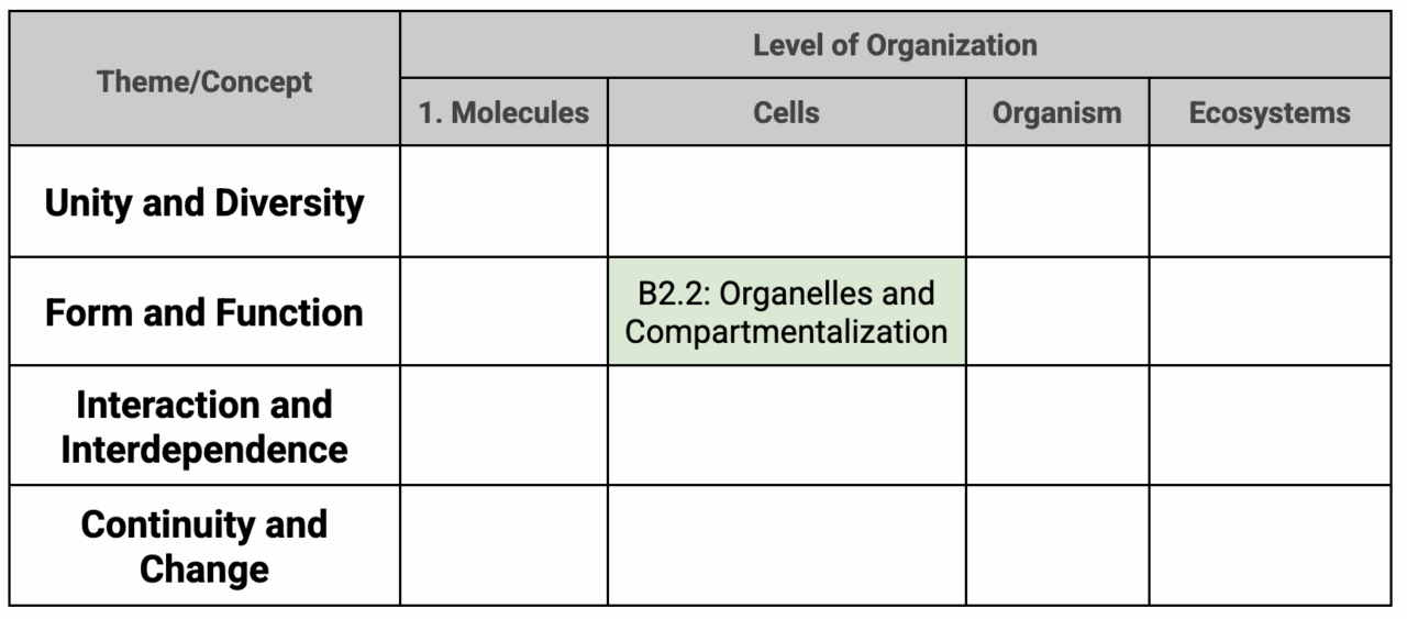 Organelles and Compartmentalization (Topic B2.2) – IB Roadmap - ATCG123